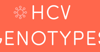 HCV Genotypes Fact Sheet